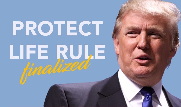 Protect Life Rule Finalized - Life IssuesLife Issues