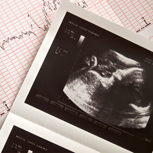 The Good, the Bad, and the Deadly - Life IssuesLife Issues