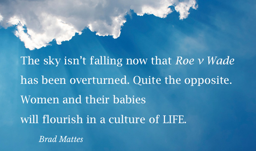 The Sky Isn't Falling - Life IssuesLife Issues