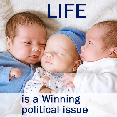 Pro-Life a Winning Political Issue - Life IssuesLife Issues